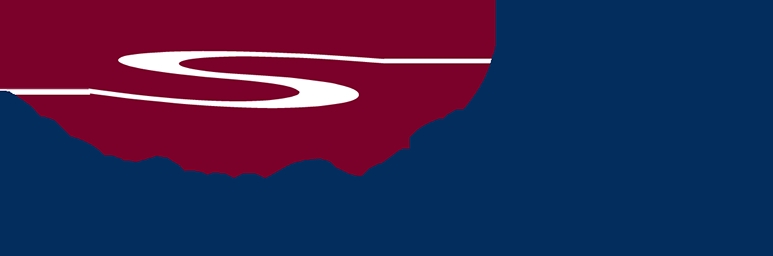 Stanley Consultants Profile