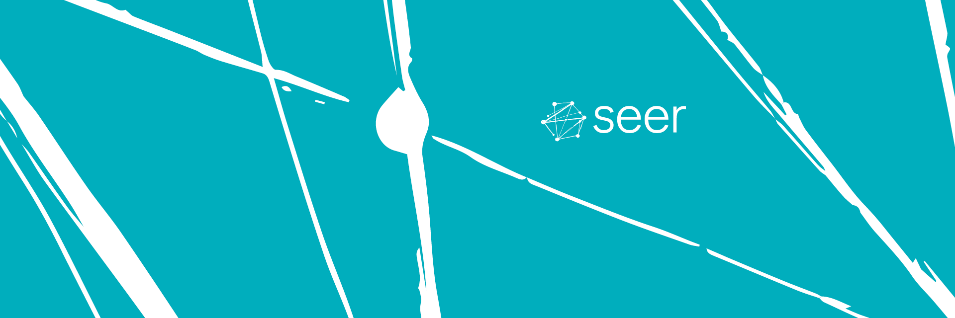 Seer Interactive Logo
