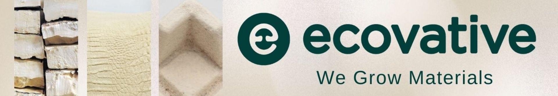 Ecovative Design Profile