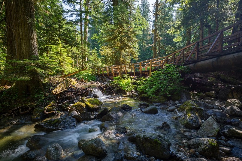 Working at Facet | Top Workplaces