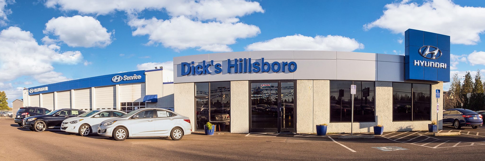 Dick's Auto Group Profile